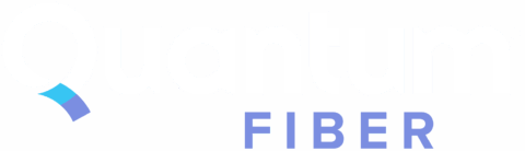 Dead Internet Theory: Bots, AI & Your Digital Privacy